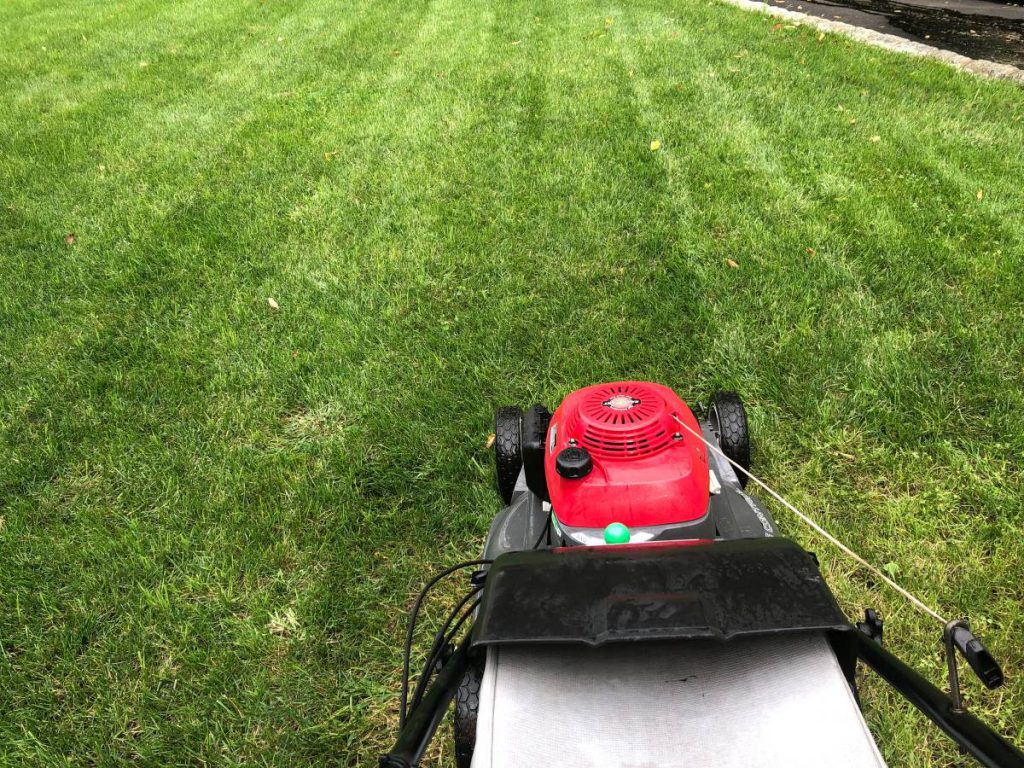 Honda HRXHYA 21" NeXite deck Lawn Mower - RonMowers