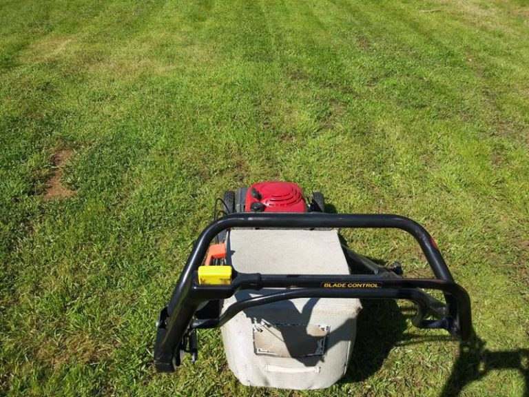 Preowned Honda HR215 Masters Commercial Grade Hydrostatic Lawn Mower ...